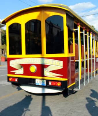 Dating Scenes around the World | Seeking